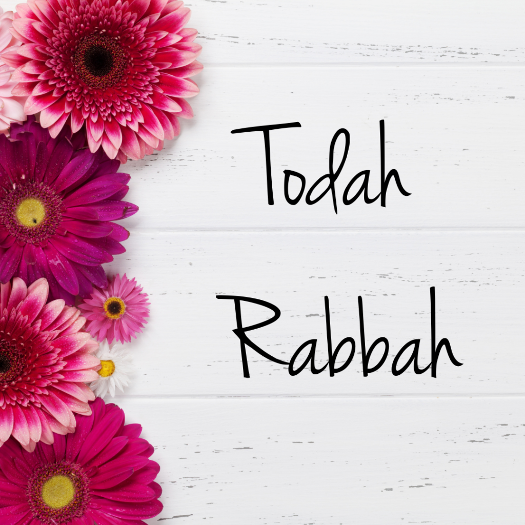 teen Torah Social square | Congregation Beth Shalom